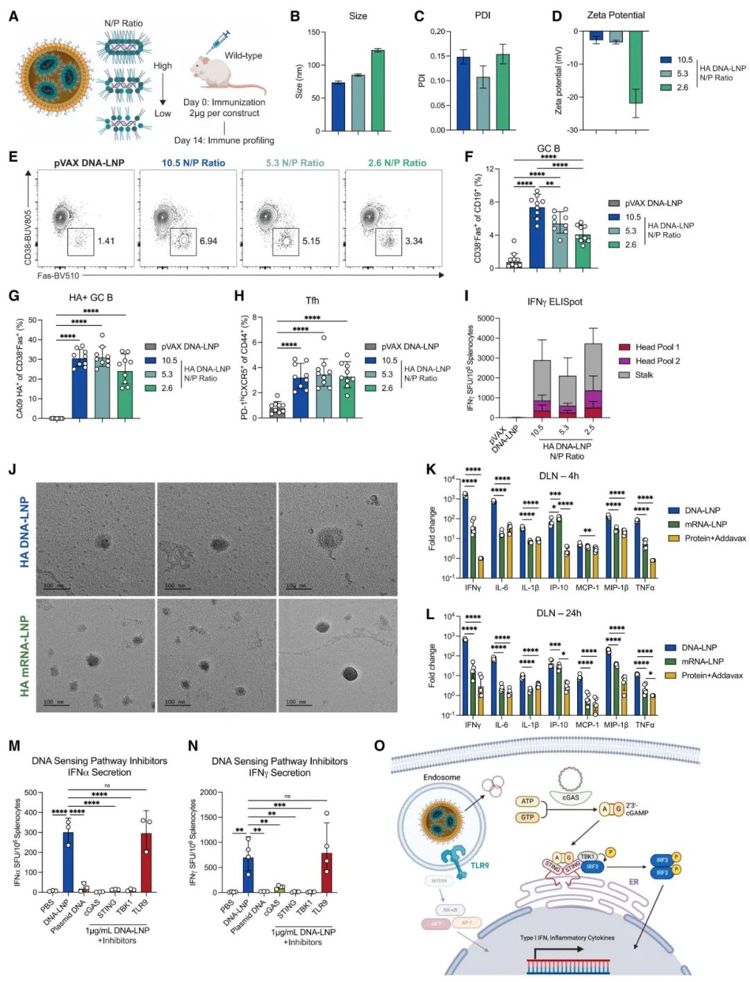 Cell Rep Med | DNA疫苗新突破！新型DNA-LNP递送技术实现长效免疫医药新闻-ByDrug-一站式医药资源共享中心-医药魔方