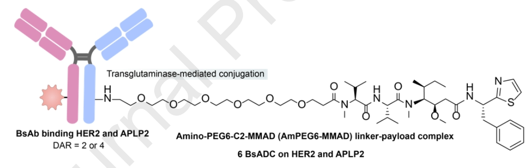 引领未来：双抗ADC的前沿进展医药新闻-ByDrug-一站式医药资源共享中心-医药魔方