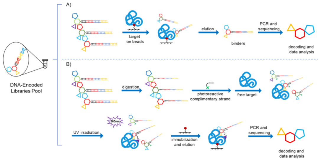JMC | 上海药物所构建基于化学空间互补的DEL数据构建小分子预测模型医药新闻-ByDrug-一站式医药资源共享中心-医药魔方
