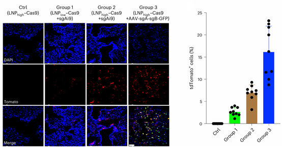技术前沿 | 体内基因编辑的黄金搭档：mRNA-LNP与AAV的强强联合医药新闻-ByDrug-一站式医药资源共享中心-医药魔方