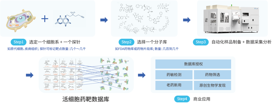 化学蛋白质组学 自动化双驱动：赋能生命科学，加速药物发现医药新闻 Bydrug 一站式医药资源共享中心 医药魔方