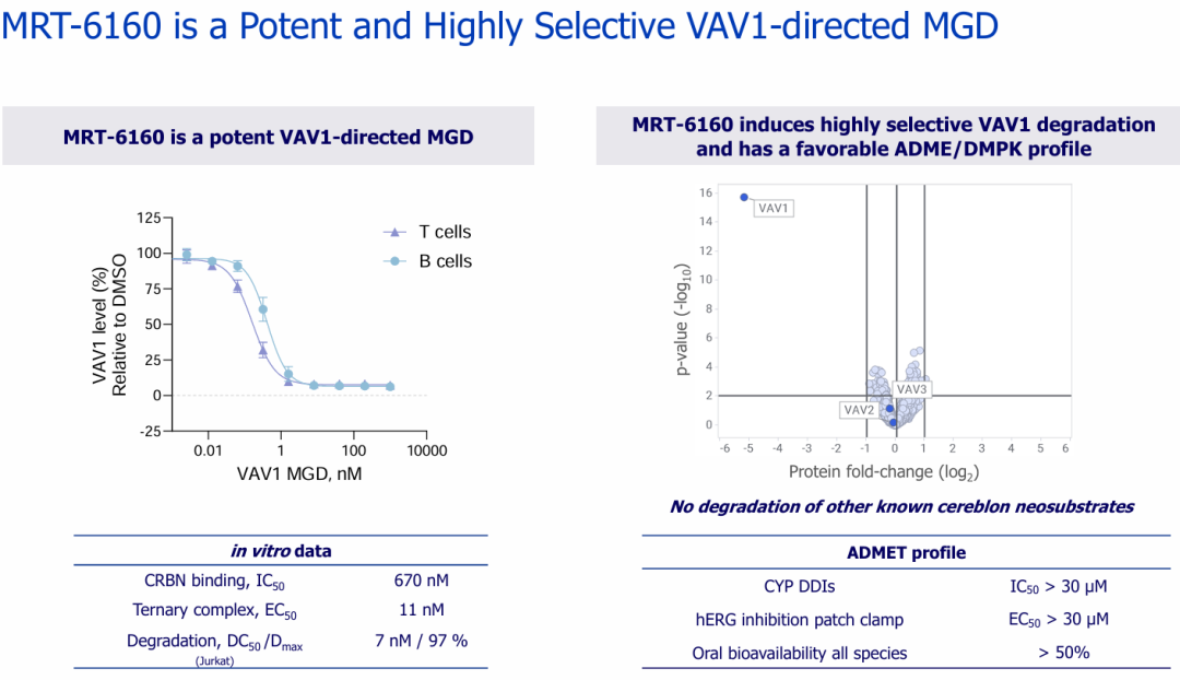 22.5亿美元！诺华引进一款靶向VAV1分子胶降解剂医药新闻-ByDrug-一站式医药资源共享中心-医药魔方