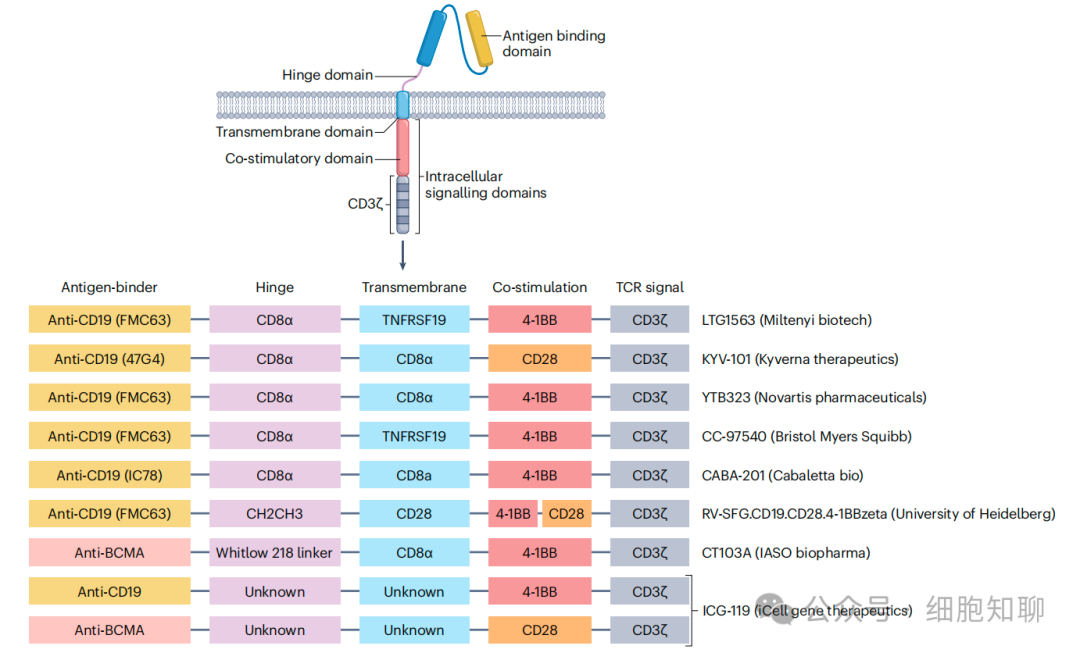 Georg Schett/Fabian Muller/Carl June联合综述|CAR-T细胞治疗自身免疫性疾病的进展和挑战医药新闻 ...