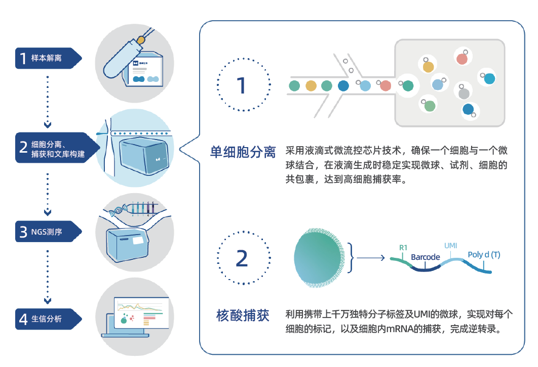 墨卓MobiNova®-100 | 高性价比国产单细胞测序，助力科研创新与临床突破医药新闻-ByDrug-一站式医药资源共享中心-医药魔方
