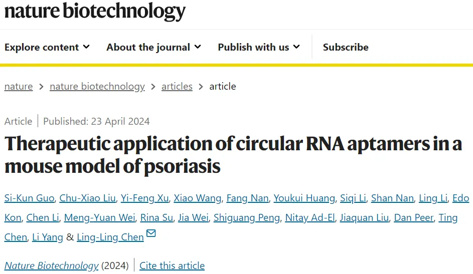 Nature子刊 | 环形RNA适配体在银屑病小鼠模型中的干预治疗医药新闻-ByDrug-一站式医药资源共享中心-医药魔方