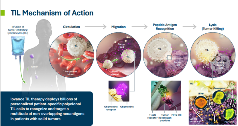 全球首款TIL细胞疗法获FDA批准上市医药新闻-ByDrug-一站式医药资源共享中心-医药魔方
