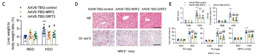 【on-target2.0】AAV感染肝脏 | 血清·启动子·注射技术 | 一篇就GO了医药新闻-ByDrug-一站式医药资源共享中心-医药魔方