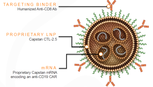 未来已来！Capstan首次公布基于抗体偶联LNP的In vivo CAR-T NHP数据医药新闻-ByDrug-一站式医药资源共享中心-医药魔方
