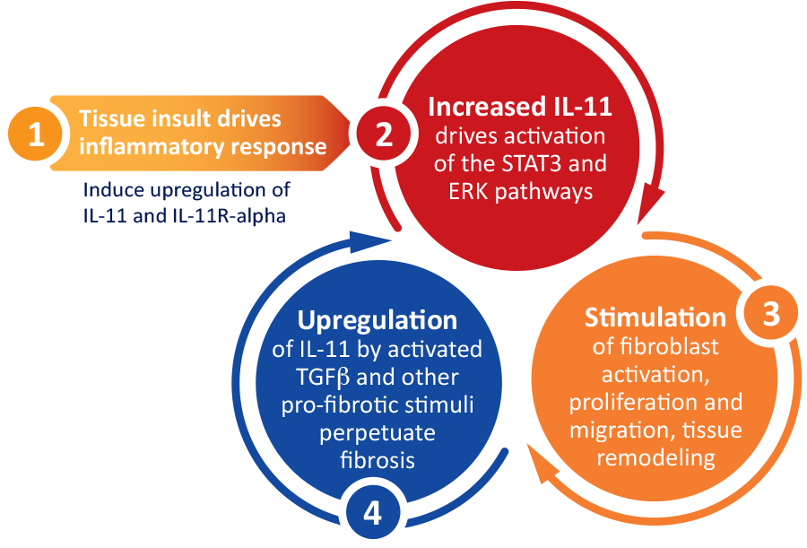 8500万美元B轮融资，开发IL-11R抗体医药新闻-ByDrug-一站式医药资源共享中心-医药魔方