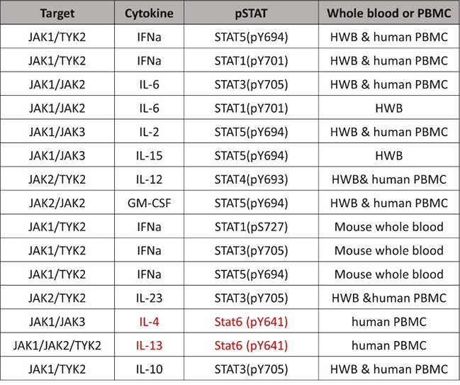 PROTAC非肿瘤领域突破：以Kymera专利分子为例的STAT6降解剂体外评价体系指南医药新闻-ByDrug-一站式医药资源共享中心-医药魔方