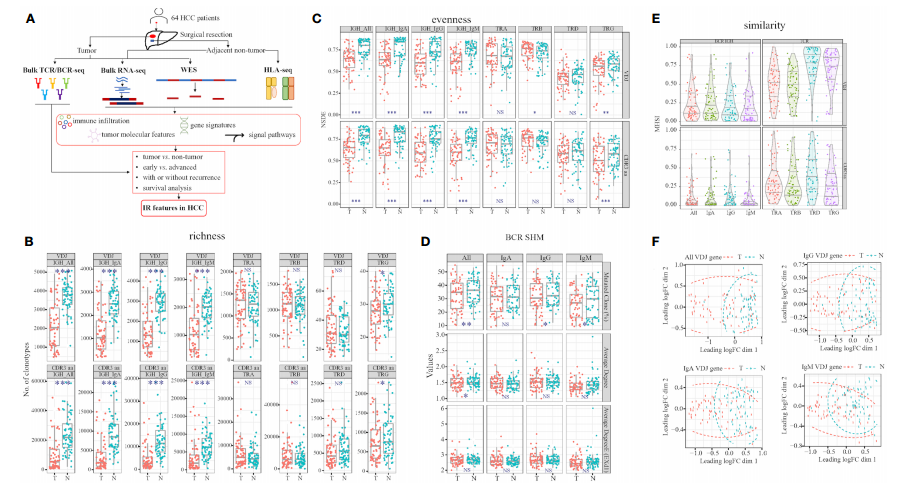 肝癌研究新进展：TCR和BCR与肝癌预后的相关性医药新闻-ByDrug-一站式医药资源共享中心-医药魔方