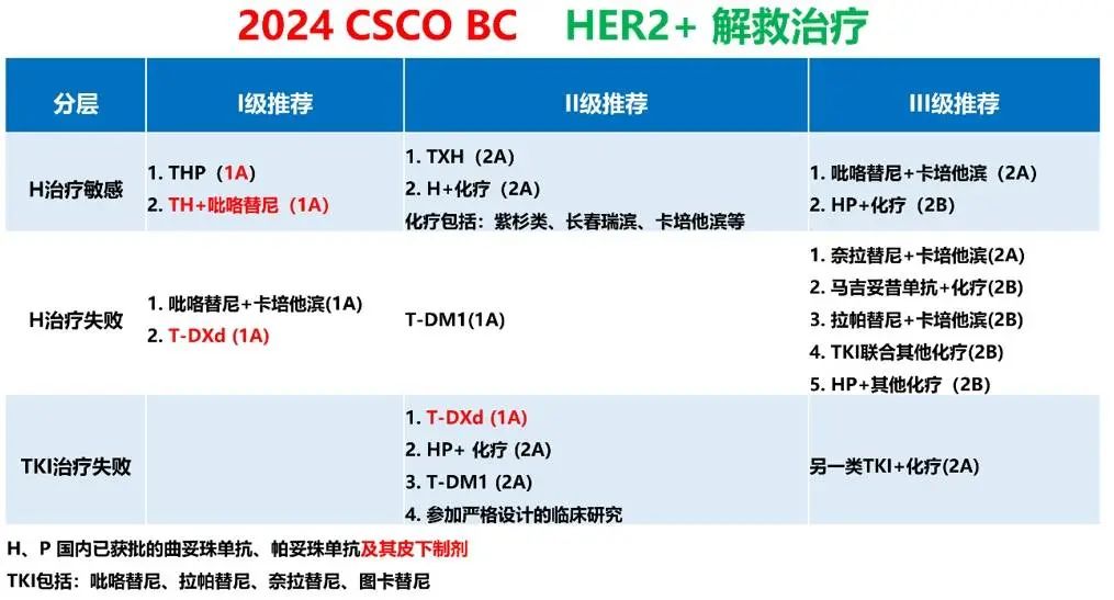 2024版 CSCO乳腺癌诊疗指南全新亮相，晚期乳腺癌治疗更新亮点抢先看医药新闻-ByDrug-一站式医药资源共享中心-医药魔方