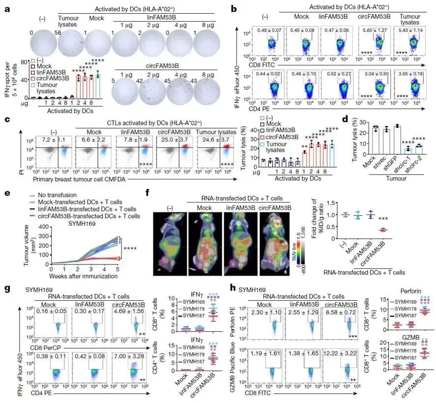Nature | 中山大学团队揭示肿瘤环状 RNA 诱导抗肿瘤免疫新机制医药新闻-ByDrug-一站式医药资源共享中心-医药魔方