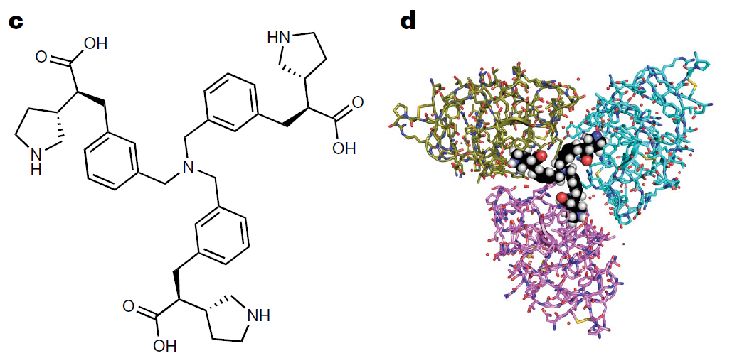 Nature里程碑：礼来揭秘首款降低Lp(a)水平小分子药物，已进入II期临床医药新闻-ByDrug-一站式医药资源共享中心-医药魔方