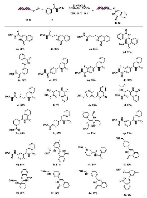 科技前沿 | 三价铑催化的碳-氢活化：成都先导与辉瑞合作开发出适用于DEL的异喹诺酮骨架合成方法医药新闻-ByDrug-一站式医药资源共享中心-医药魔方