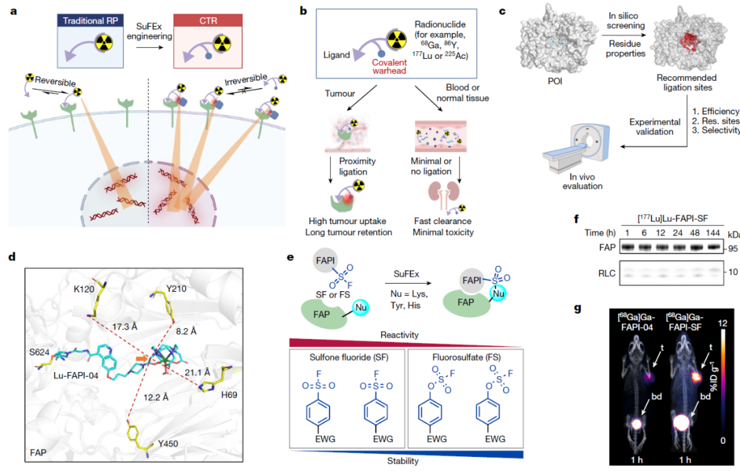Nature：一篇「核药」重磅论文医药新闻-ByDrug-一站式医药资源共享中心-医药魔方