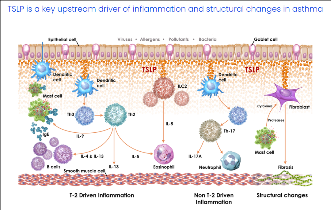 14亿美元！GSK收购Aiolos Bio，核心管线来自于恒瑞医药医药新闻-ByDrug-一站式医药资源共享中心-医药魔方