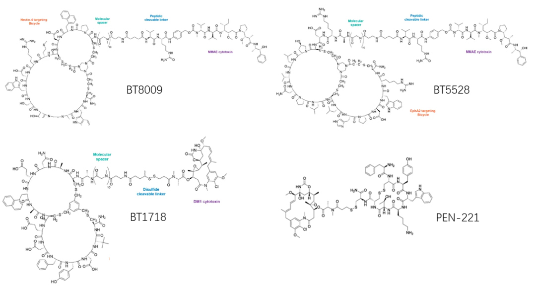 环肽在肽偶联药物研发中的新进展医药新闻-ByDrug-一站式医药资源共享中心-医药魔方