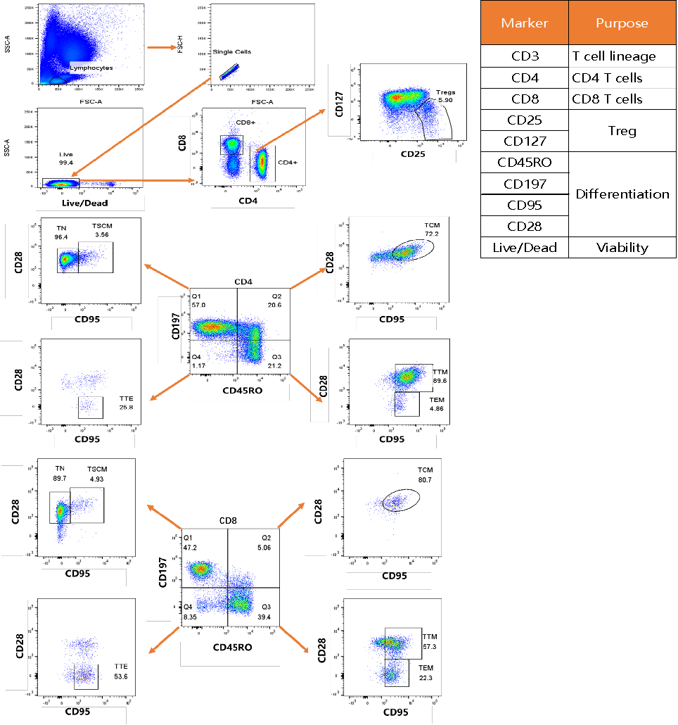 标准化流式整体解决方案在CAR-T细胞治疗中的应用医药新闻-ByDrug-一站式医药资源共享中心-医药魔方