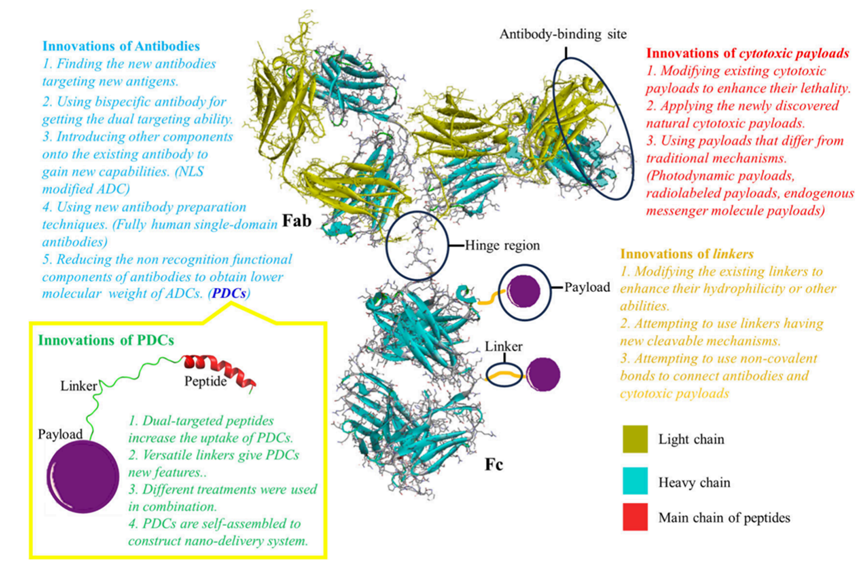 你了解PDCs吗？医药新闻-ByDrug-一站式医药资源共享中心-医药魔方