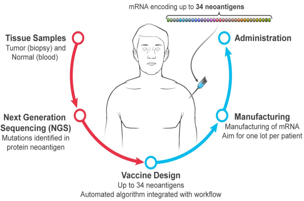 肿瘤治疗的“高级定制” | 冲击一线治疗的个性化肿瘤免疫疗法医药新闻-ByDrug-一站式医药资源共享中心-医药魔方