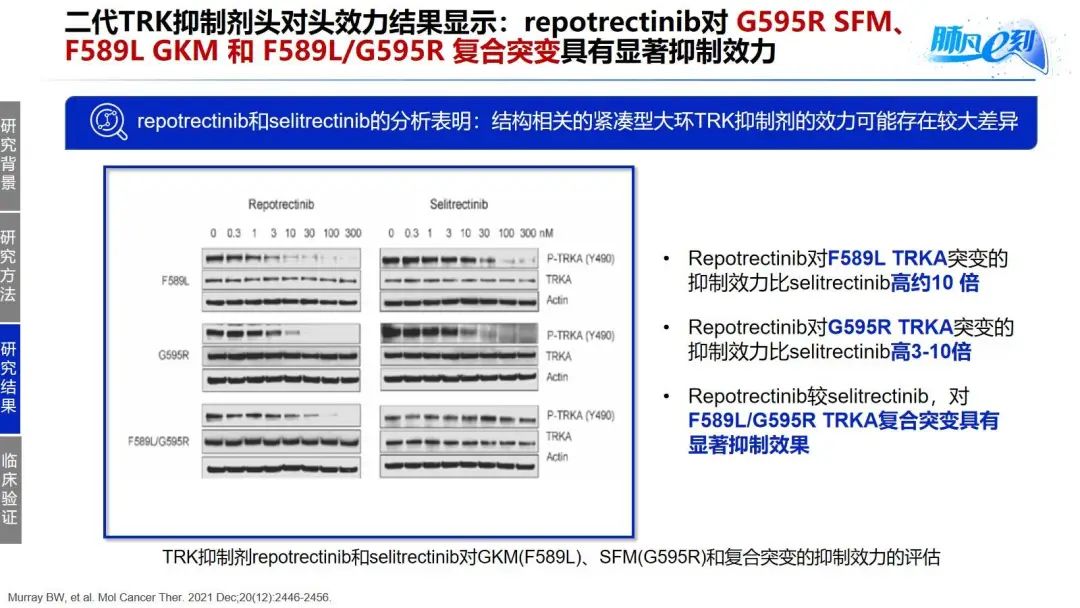 肺凡e刻 | 最前沿第十四期，沈波教授解读Repotrectinib的分子特征——能够有效抑制TRK融合蛋白和耐药突变医药新闻-ByDrug-一站式医药资源共享中心-医药魔方