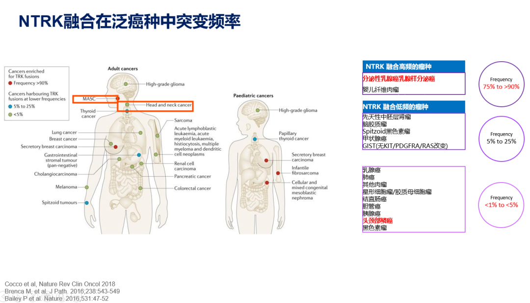 HOW & WHY ：NTRK融合“同病同治”——陆舜、李娟、韩博三位教授条分缕析丨理享氏界医药新闻-ByDrug-一站式医药资源共享中心-医药魔方