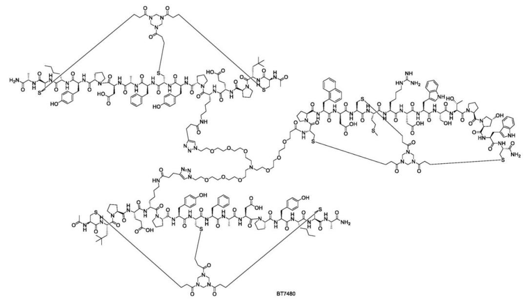 中肽技术 | 多肽药物设计的新天花板BT7480：兼具PROTAC与双抗属性医药新闻-ByDrug-一站式医药资源共享中心-医药魔方