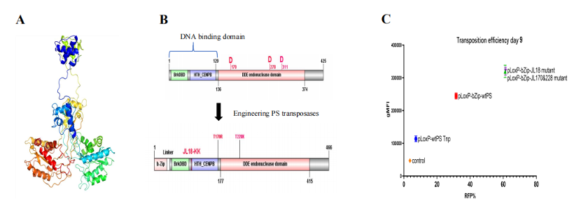 ASGCT 2024 | 上海细胞治疗集团：低毒高效的新一代基因写入系统应用新进展医药新闻-ByDrug-一站式医药资源共享中心-医药魔方