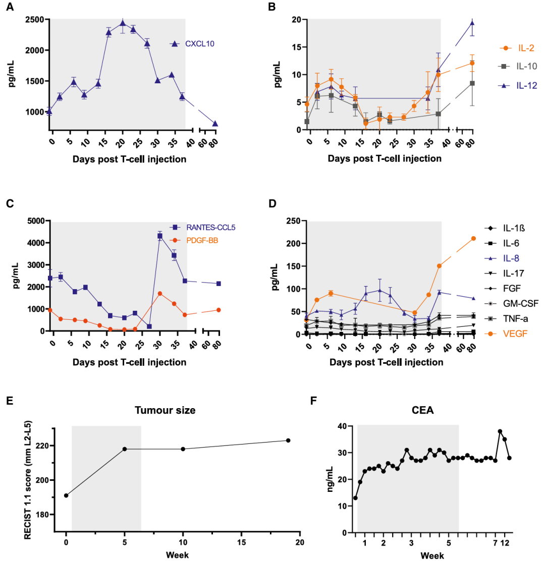 利用mRNA 瞬时构建 TCR-T 细胞，治疗晚期难治性高 MSI 结直肠癌患者！医药新闻-ByDrug-一站式医药资源共享中心-医药魔方