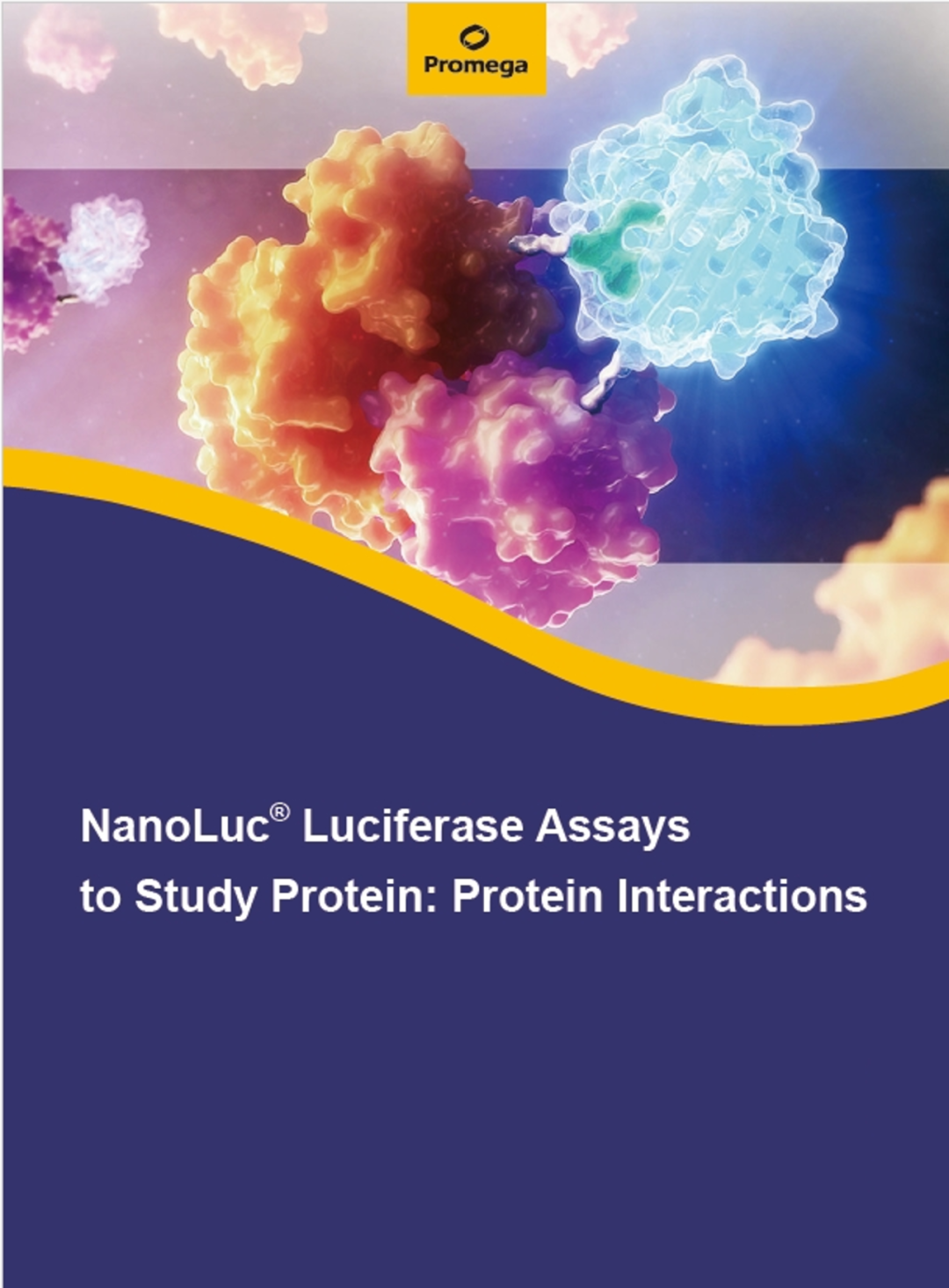 技术 | 利用HiBiT标签与NanoBRET™ TE技术研究GPCRs与配基结合医药新闻-ByDrug-一站式医药资源共享中心-医药魔方
