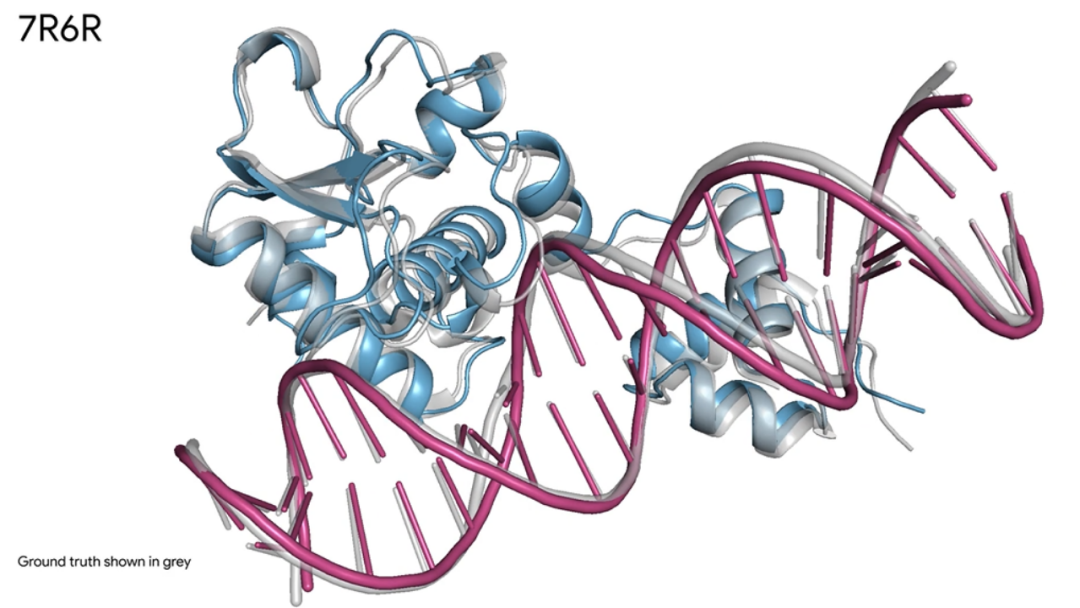 《自然》重磅：AlphaFold 3可显著提升生物结构预测准确率 | 红杉爱科学医药新闻-ByDrug-一站式医药资源共享中心-医药魔方