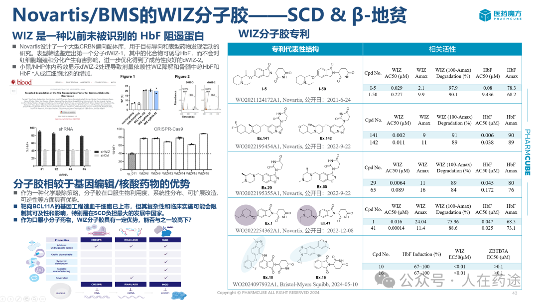 Science重磅！诺华、BMS皆看好的WIZ分子胶医药新闻-ByDrug-一站式医药资源共享中心-医药魔方