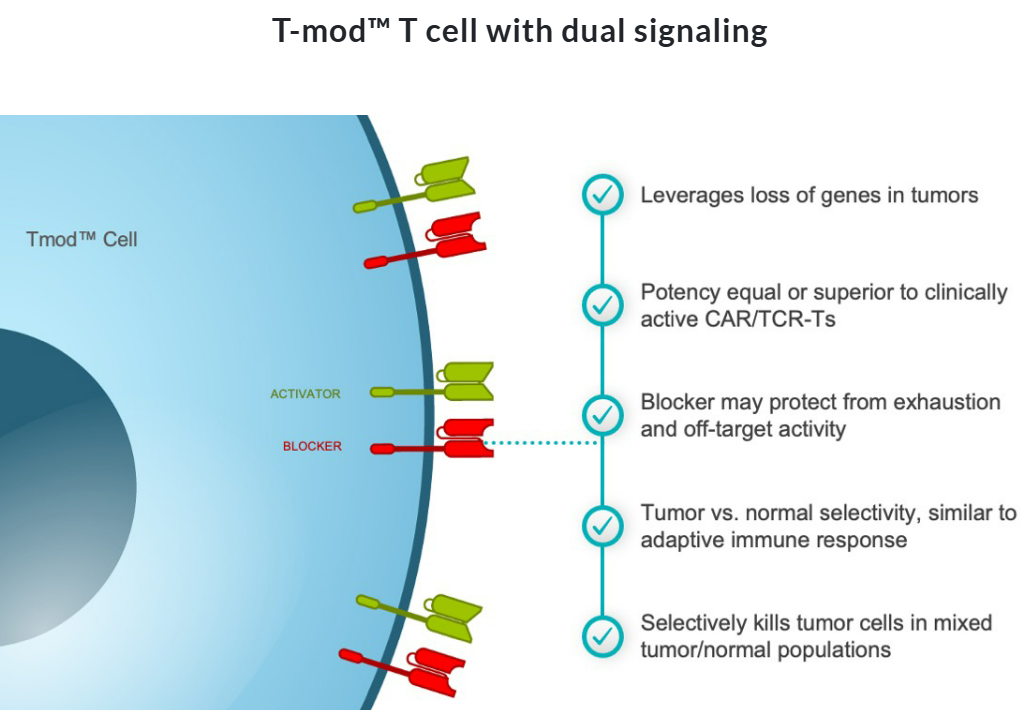 8000万美元C轮融资，开发实体瘤细胞治疗医药新闻-ByDrug-一站式医药资源共享中心-医药魔方