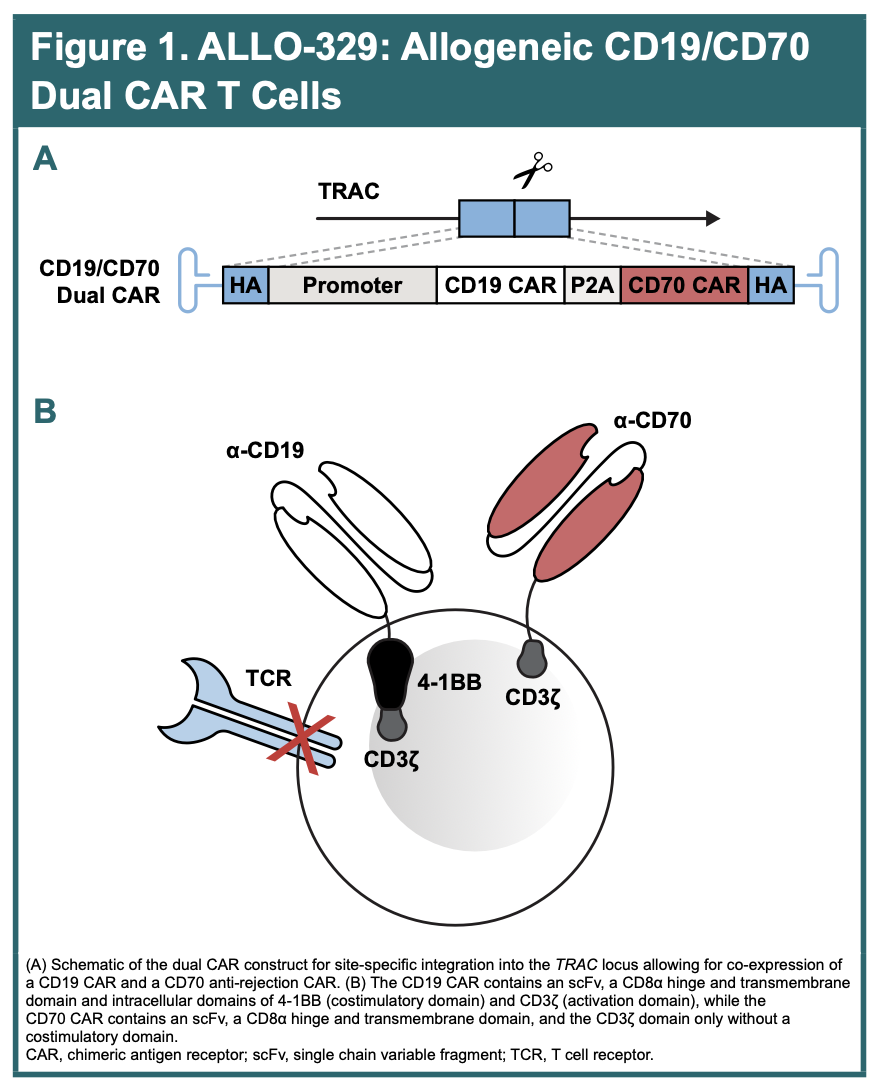 Allogene：通用CD19/CD70 CAR-T获FDA三项自免适应症的快速通道认证医药新闻-ByDrug-一站式医药资源共享中心-医药魔方