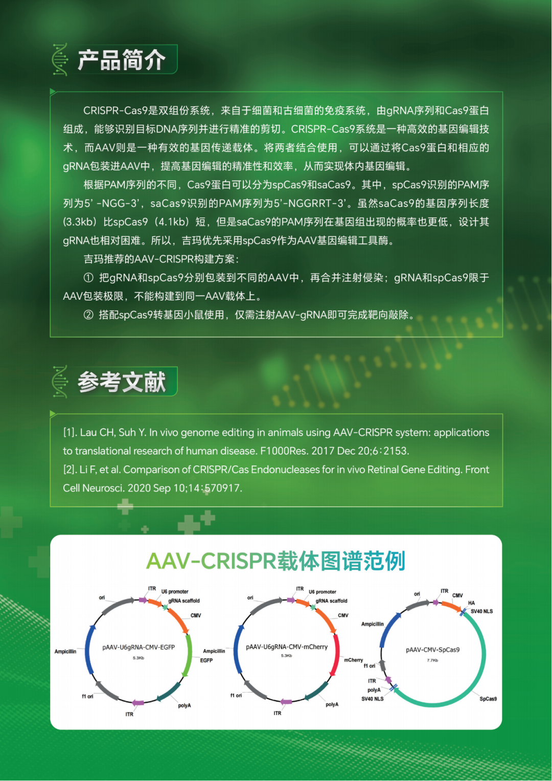 AAV-CRISPR体内基因编辑利器医药新闻-ByDrug-一站式医药资源共享中心-医药魔方