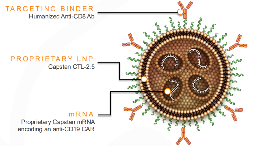 mRNA CAR-T — 癌症治疗新手段医药新闻-ByDrug-一站式医药资源共享中心-医药魔方