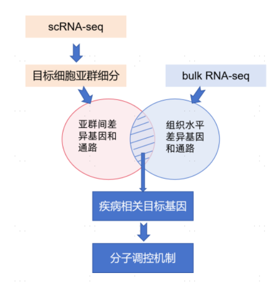 scRNA-seq携手bulk RNA-seq：性价比与科研价值的双重保障医药新闻-ByDrug-一站式医药资源共享中心-医药魔方