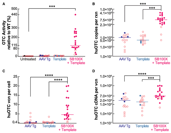 技术前沿 | 体内基因编辑的黄金搭档：mRNA-LNP与AAV的强强联合医药新闻-ByDrug-一站式医药资源共享中心-医药魔方