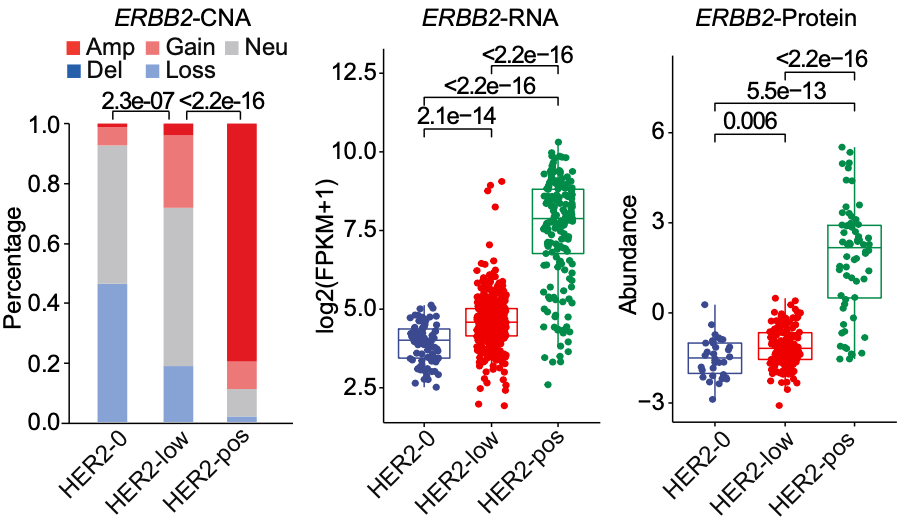 Nature子刊｜邵志敏教授团队：中国HER2低表达乳腺癌分子特征和临床意义医药新闻-ByDrug-一站式医药资源共享中心-医药魔方