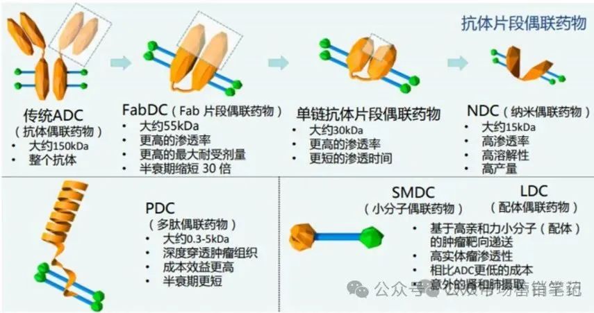 最全！15种XDC药物全类型梳理及发展趋势预测医药新闻-ByDrug-一站式医药资源共享中心-医药魔方