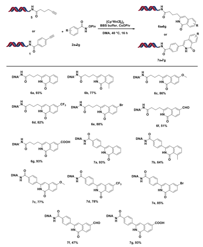 科技前沿 | 三价铑催化的碳-氢活化：成都先导与辉瑞合作开发出适用于DEL的异喹诺酮骨架合成方法医药新闻-ByDrug-一站式医药资源共享中心-医药魔方