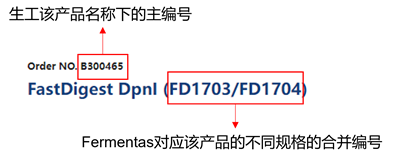 新闻资讯丨生工生物上线Fermentas产品啦！医药新闻-ByDrug-一站式医药资源共享中心-医药魔方