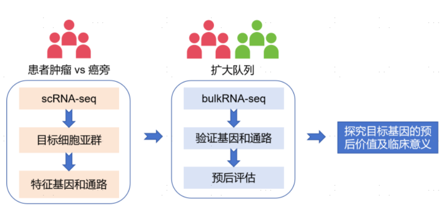 scRNA-seq携手bulk RNA-seq：性价比与科研价值的双重保障医药新闻-ByDrug-一站式医药资源共享中心-医药魔方