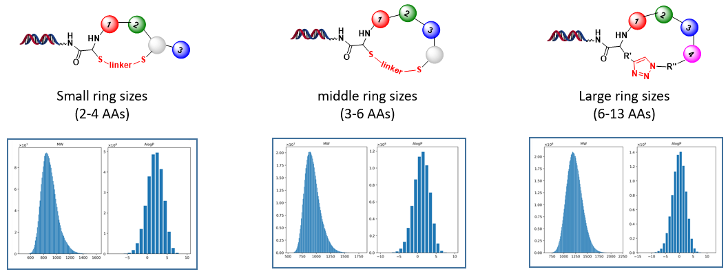 DEL for大环化合物医药新闻-ByDrug-一站式医药资源共享中心-医药魔方
