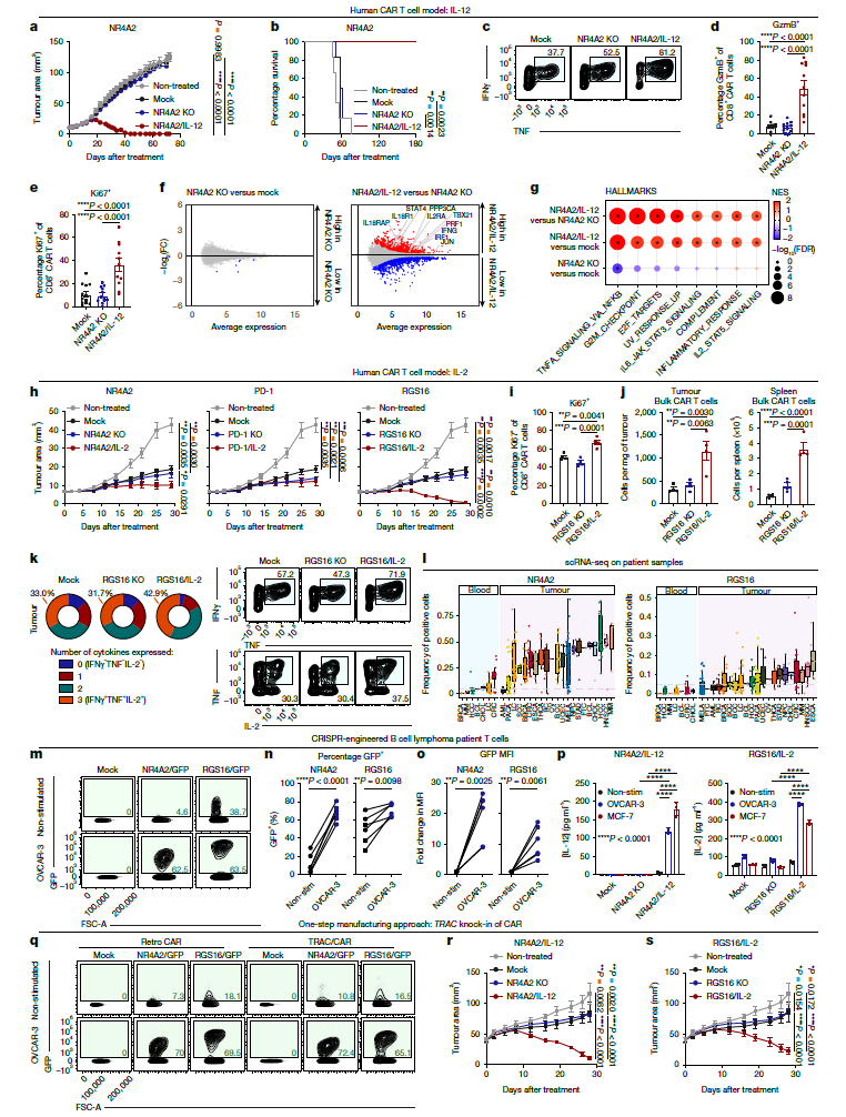 Nature：挑战实体瘤，CAR-T新突破来了医药新闻-ByDrug-一站式医药资源共享中心-医药魔方