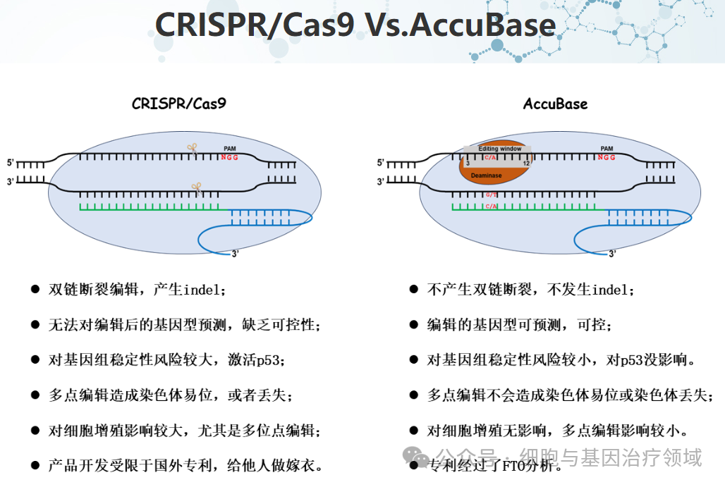 世界首款碱基编辑NK细胞产品临床试验申请获CDE受理医药新闻-ByDrug-一站式医药资源共享中心-医药魔方