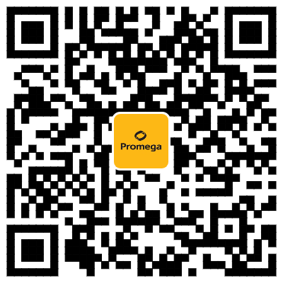 新品 | HiBiT活细胞靶向蛋白降解高效新利器！LgBiT mRNA递送系统医药新闻-ByDrug-一站式医药资源共享中心-医药魔方