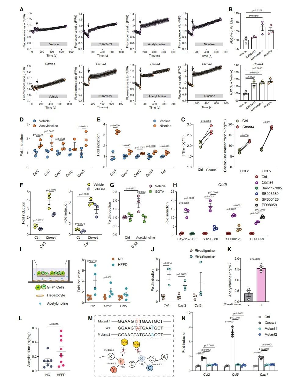 IF=29.0∣王丽蕊团队揭示肝实质细胞特异性表达的CHRNA4受体在MASH发展中的调控作用及新机制医药新闻-ByDrug-一站式医药资源 ...
