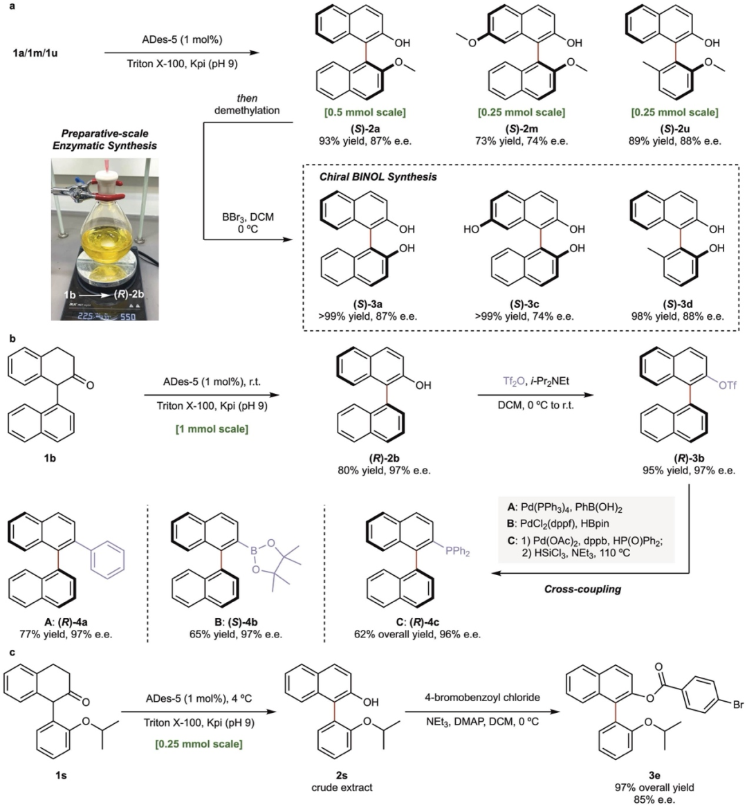 Nature Synthesis | 刘臻和黄牛课题组合作建立轴手性联芳基化合物的高效生物合成平台医药新闻-ByDrug-一站式医药资源共享中心-医药魔方